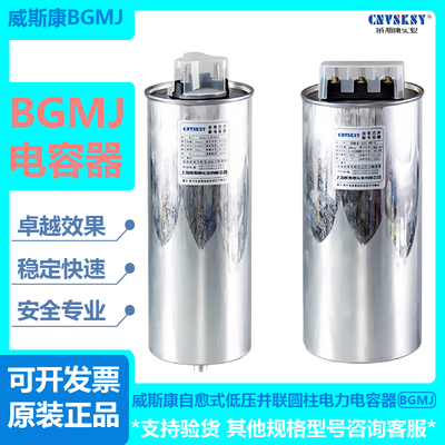 威斯康并联圆柱电力电容器BGMJ