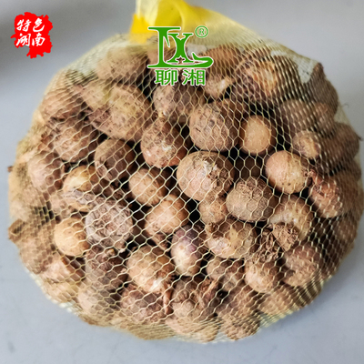 野生滴水珠中药材一粒珠石半夏种球一枝花五滴珠独龙珠蛇珠种籽