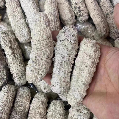 野生黄肉参淡干海参煲汤食材玉参