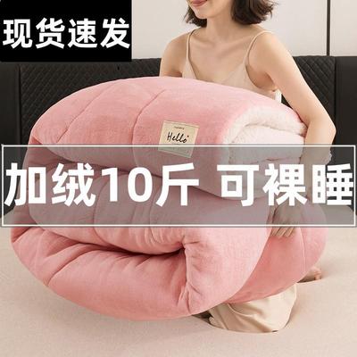 羊羔绒被子冬被加绒加厚秋冬被芯