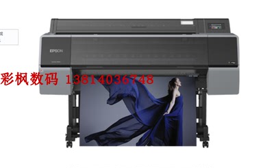 Epson爱普生P9580大幅面喷墨打印机摄影输出艺术微喷12色颜料墨水