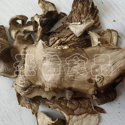 台蘑山西五台山野生台蘑秋露白蘑菇500g食用菌类煲汤干货菌菇