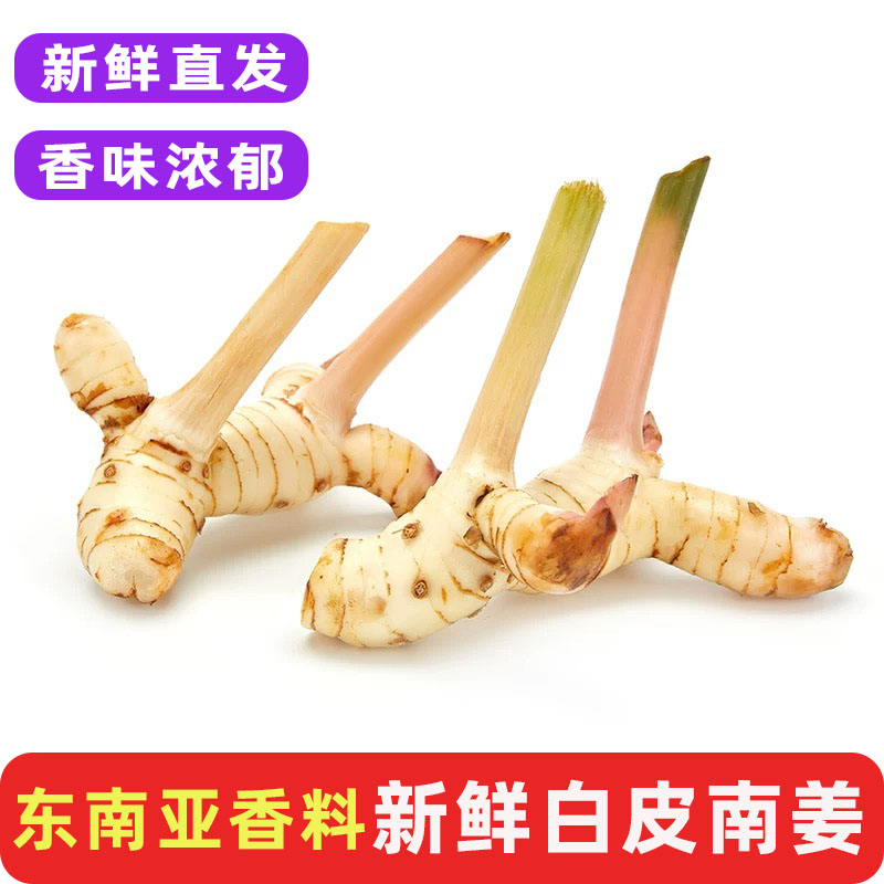 新鲜南姜泰国白皮南姜调味香料冬阴功汤火锅底料新鲜蔬菜生姜包邮