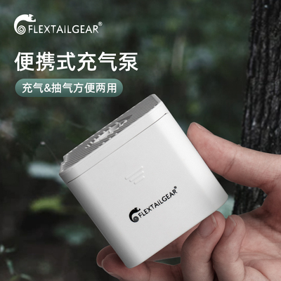 鱼尾便携电动充气泵打气筒充放气