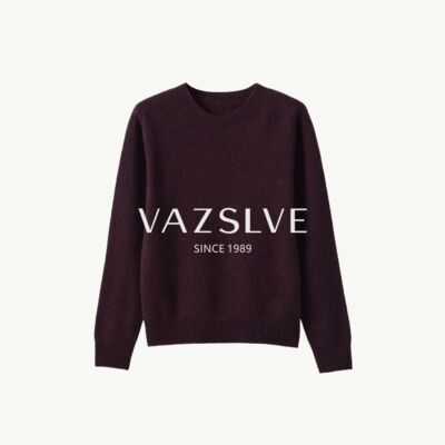 【VAZSLVE/全新奢品】捡漏一线成衣点子纱100绵羊毛圆领PGXN 2911