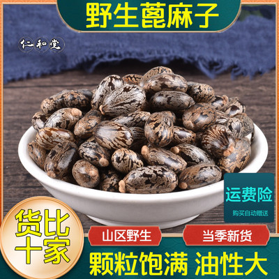 中药材蓖麻子蓖麻籽大麻子