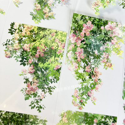 手帐分装胶带b001蔷薇摇曳世安工作室花朵古风PET素材账手机贴纸