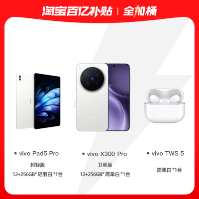 vivo X300 Pro全加桶
