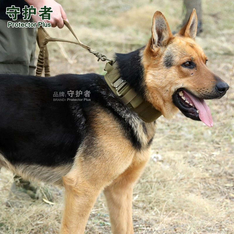 项圈肩带战术狗脖圈双铁扣尼龙狗项圈宠物户外牵引绳训练战术狗带