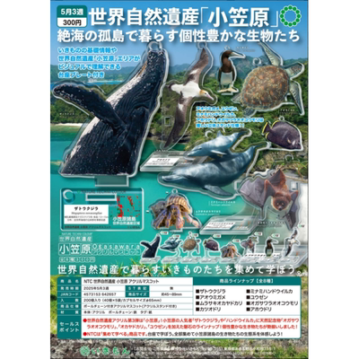 虾壳社 现货日本IKIMON扭蛋  NTC 世界自然遗产 小笠原 可立 挂件