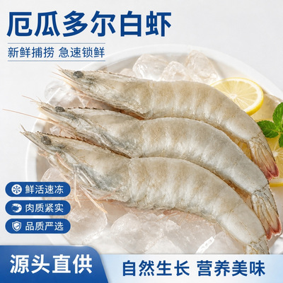 进口厄瓜多尔白虾4050盐冻锁鲜