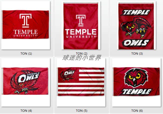 Temple Owls Flag坦普尔大学猫头鹰球迷装饰旗帜