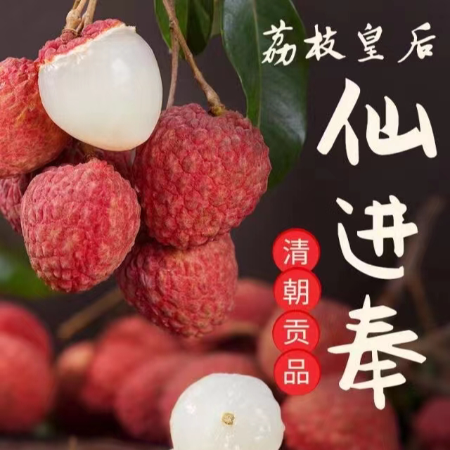 空运广东增城仙进奉荔枝新鲜水果当季整箱现摘荔枝老树大果