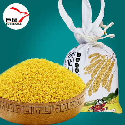 巨鹰布袋小米陕西杂粮谷子