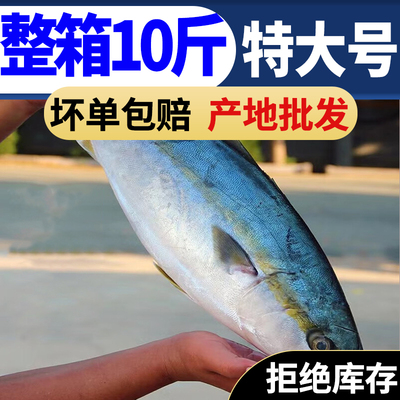 黄金鲅鱼黄鰤鱼青甘鱼低温速冻新鲜海鲜鱼大鱼海鲜一整箱鲅鱼