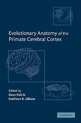 【预售】Evolutionary Anatomy of the Primate Cerebral Cortex