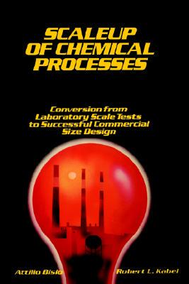 【预售】Scaleup Of Chemical Processes: Conversion From