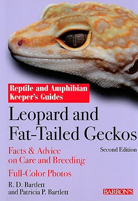现货 Leopard and Fat-Tailed Geckos