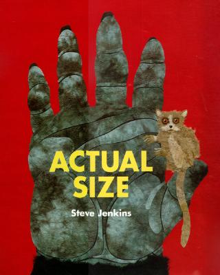 【预订】Actual Size