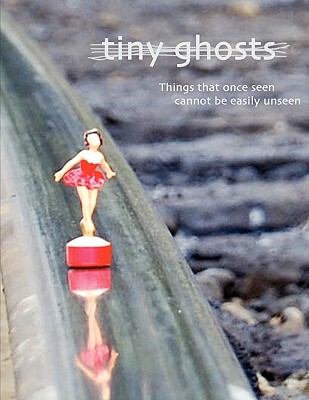 【预售】Tiny Ghosts: Things That Once Seen Cannot Be Easily