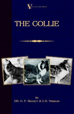 【预售】The Collie
