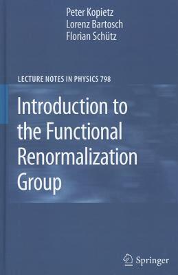 【预售】Introduction to the Functional Renormalization