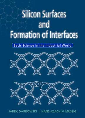 【预售】Silicon Surfaces and Formation of Interfaces: Basic