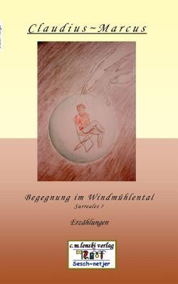 【预售】Begegnung Im Windm Hlental