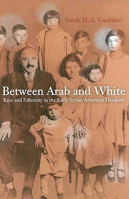【预订】Between Arab and White: Race and Ethnicity in the
