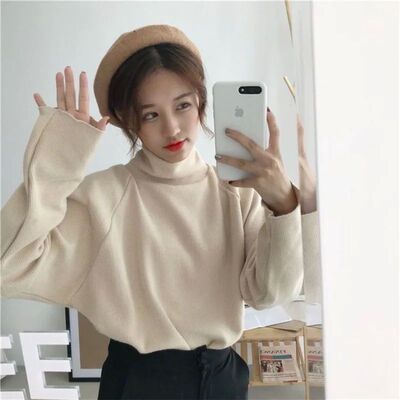 New Winter Long Sleeve T Shirts for Women Sold Color Turtlen