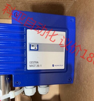 GESTRA NRGT 26-1 NRG16-11 液位传感
