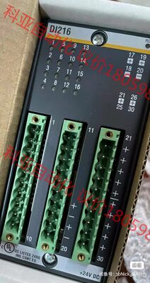 巴赫曼DI216