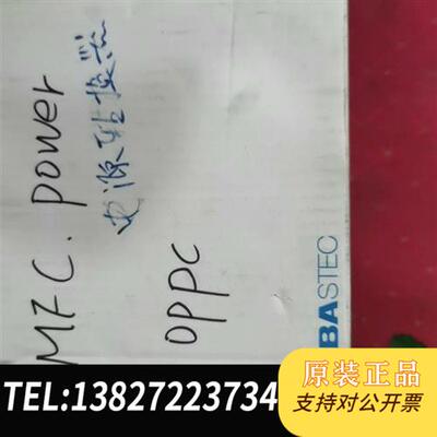 原装正品 HORIBASTEC流量计控制器PE-16全新议价