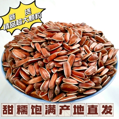 云南特产红皮生瓜子超大颗粒山地葵花籽原味甜糯500g包邮