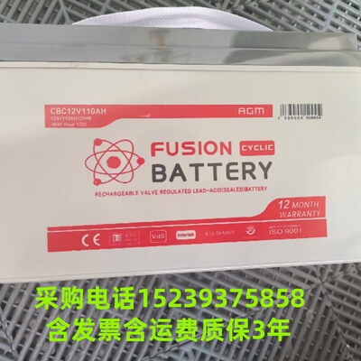 美国原装进口蓄电池12V100AH