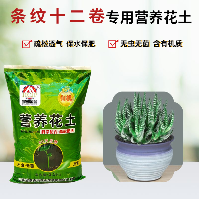 条纹十二卷专用营养花土家客厅盆栽种植物翻换有机腐植泥椰砖土壤