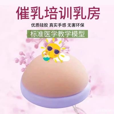 催乳师模型培训软硅胶假乳房家政技校医院医学用示范教学乳房教具
