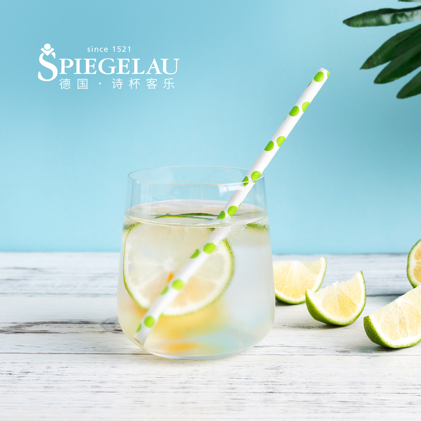 德国SPIEGELAU进口非铅水晶玻璃威士忌洋酒杯创意轻薄果汁杯水杯