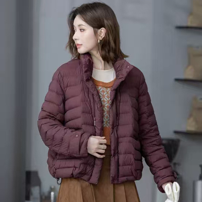 暖暖火炉！90白鸭绒保暖抗风轻便立领实穿百搭不跑绒羽绒服892A13