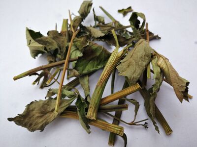 鬼针草新鲜晒干三叶鬼针草中草药