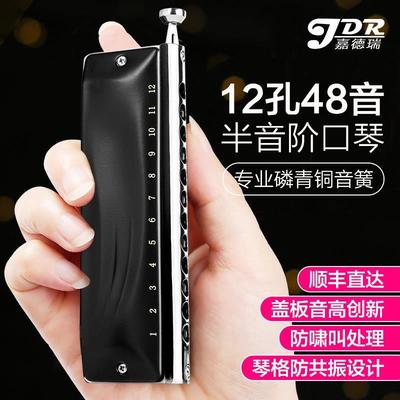 半音阶口琴12孔C调GM0648