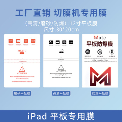 展望兴高清磨砂iPad12寸平板膜