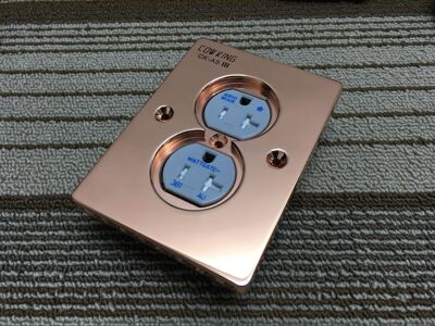 紫铜面板wattgate墙插