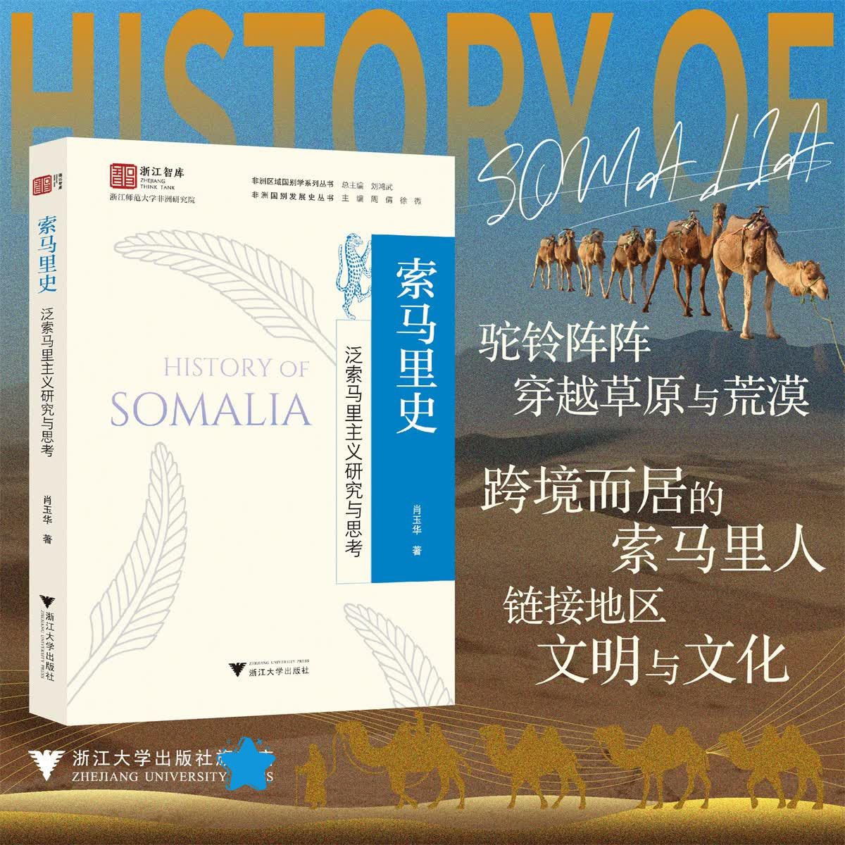 索马里史:泛索马里主义研究与思考浙江师范大学非洲探究院 非洲区域国别学系列书 9787308271394