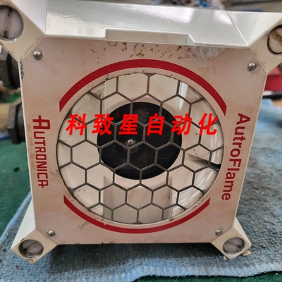 工业配件PCT 20/20L/20-20L AUTROFLAME 探测器