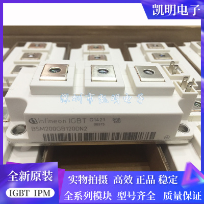 BSM300GB120DLC BSM100GB120DN2 BSM200GB120DN2 BSM150GB170DLC