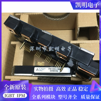 PM100CLA060 PM100CL1A060 PM75CLA060 PM75CL1A060 PM150CL1A060