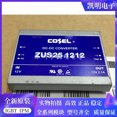 ZUS251205 ZUS251212 ZUS252412 ZUW251212 ZUS252405电源模块新