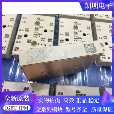 SKIIP31NAC12T42 SKIIP31NAC12T2 SKIIP32NAC12T42 SKIIP30NAC12T