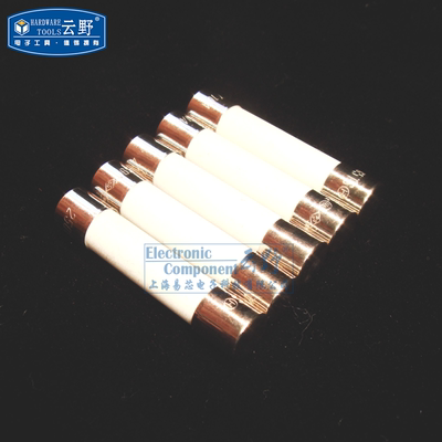 【高科美芯】 云野陶瓷保险丝 T慢熔保险管6*32mm 圆柱型无脚6X32
